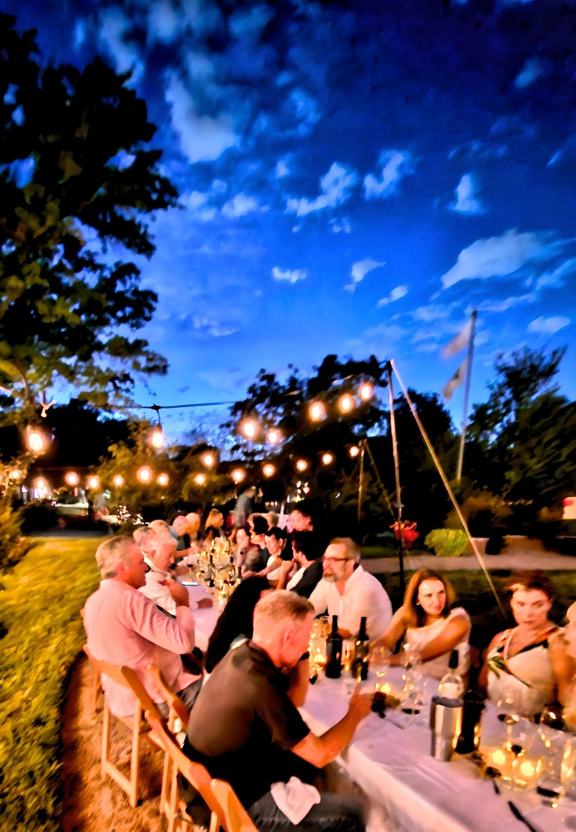 Southside Place Community Garden | Creating a new neighborhood garden ...